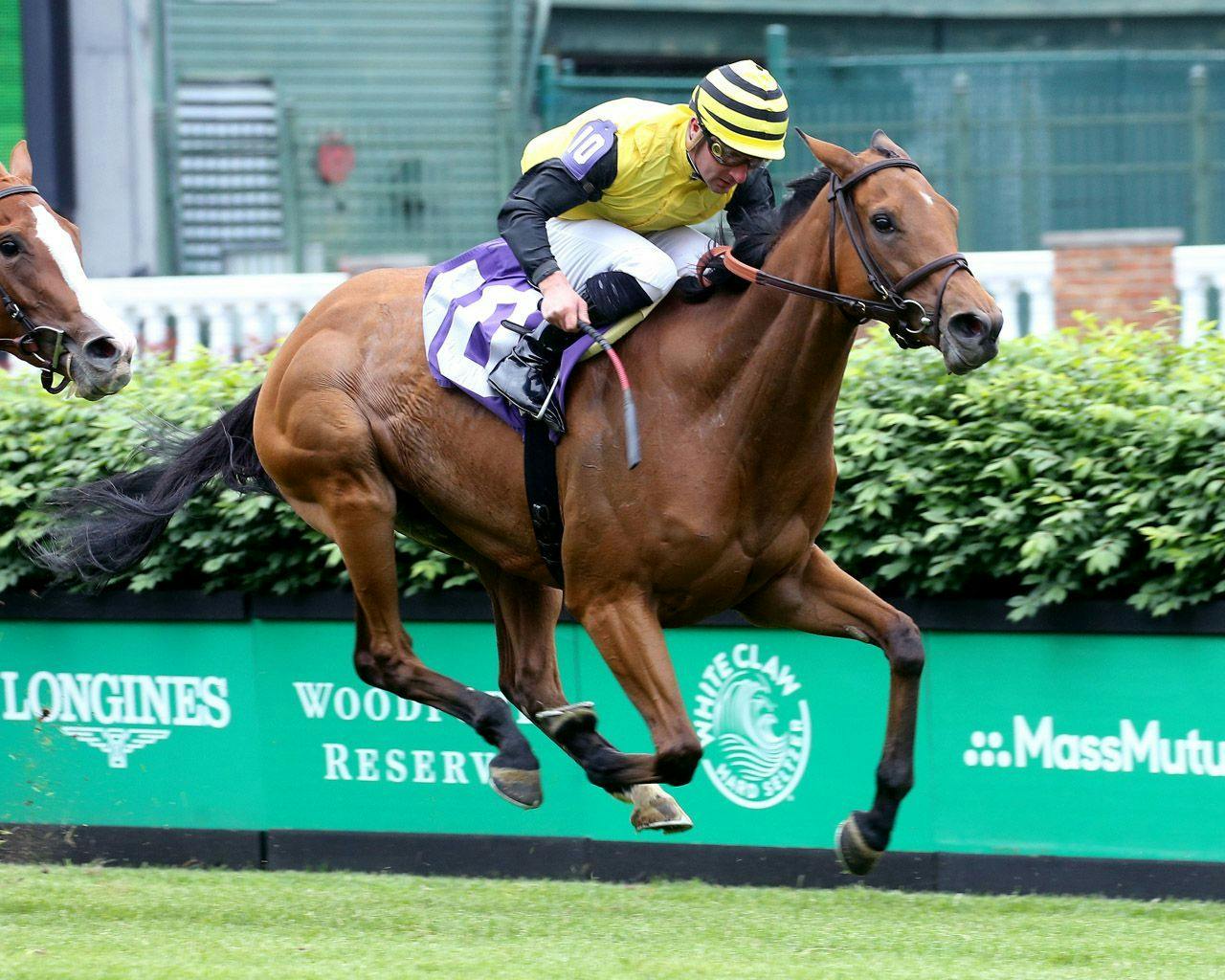 Best value plays for the Regret Stakes on May 29 | TwinSpires