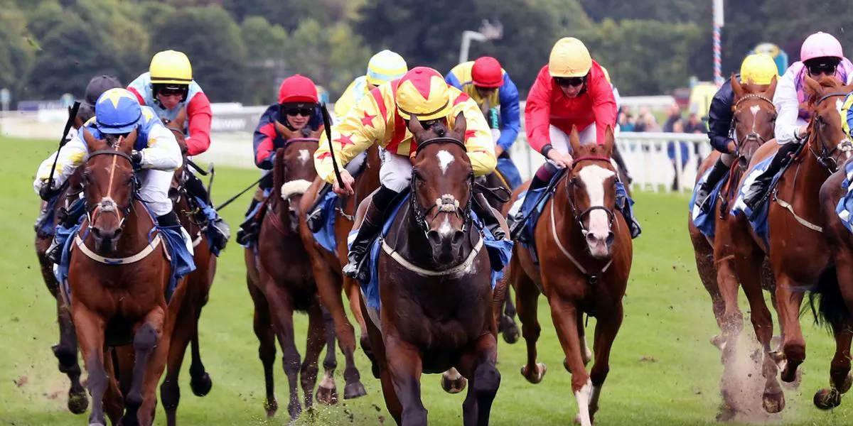 South Africa Preview: What chance Triple Tiara, Triple Crown | TwinSpires