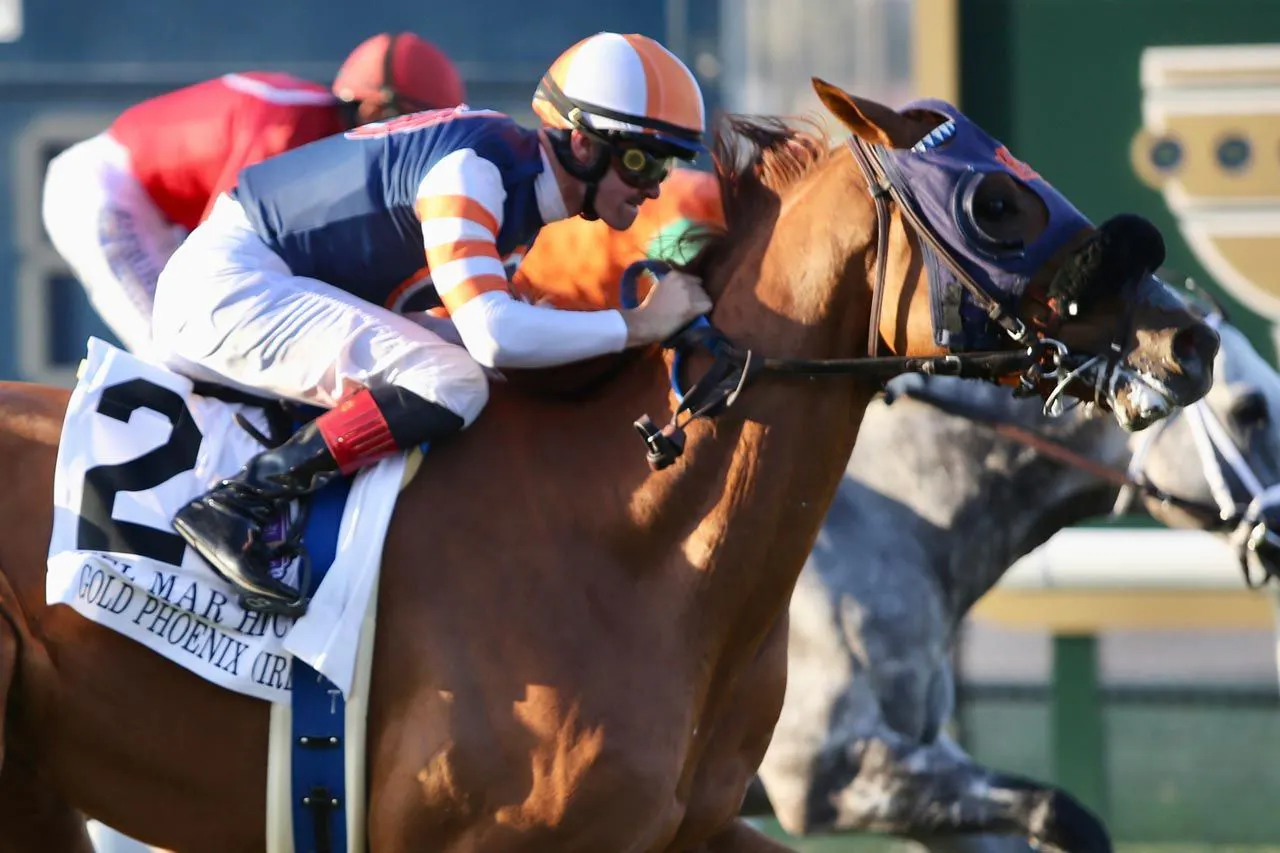 Betting With, and Against, Gold Phoenix in the San Marcos S. | TwinSpires