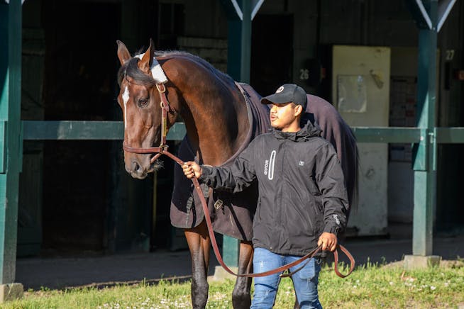Belmont Stakes horses: Trainers, jockeys, owners in the race | TwinSpires