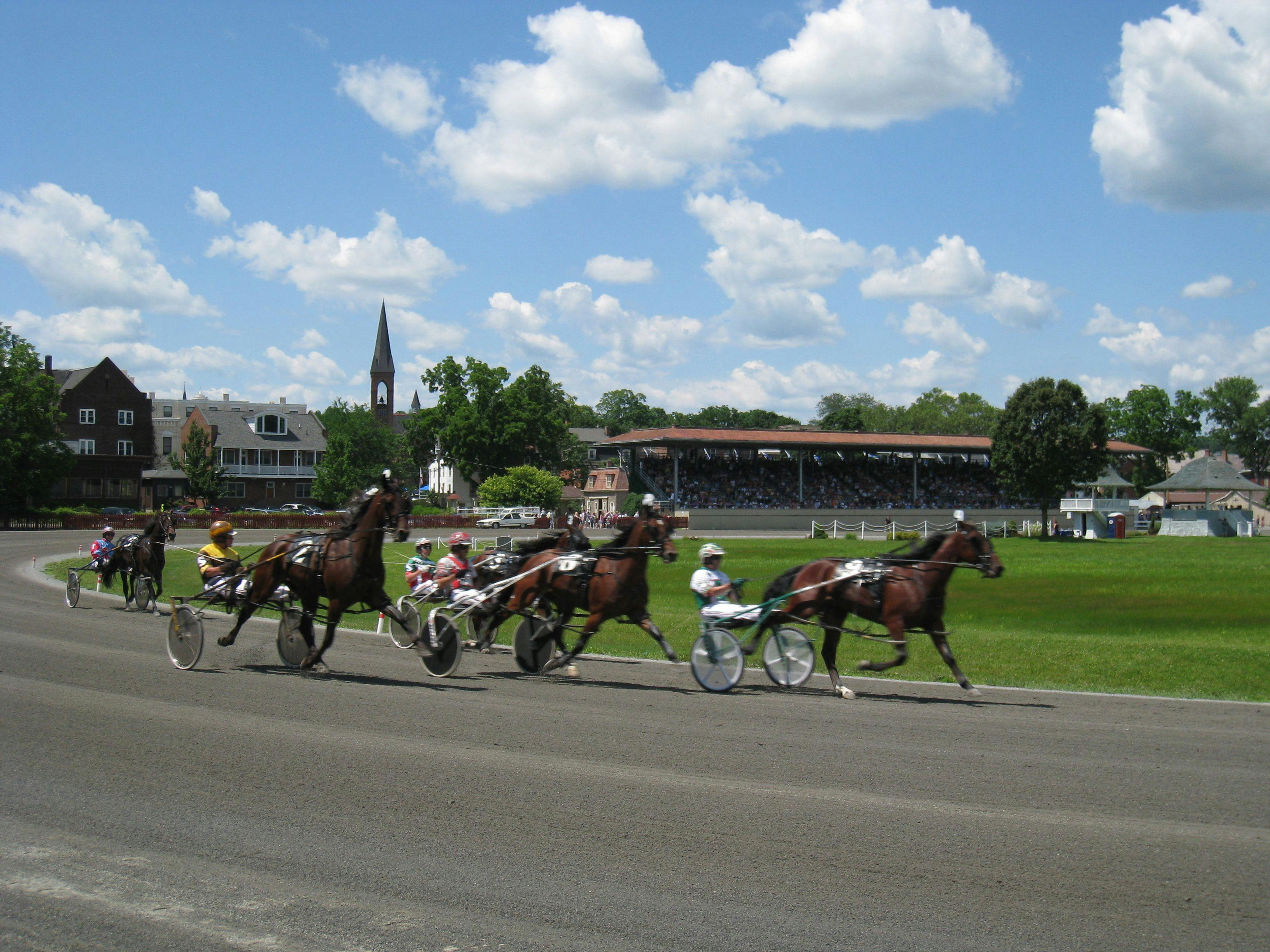 Harness Holiday Weekend Plays | TwinSpires