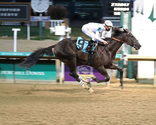 Tipsheet: 2022 Jeff Ruby Steaks | TwinSpires