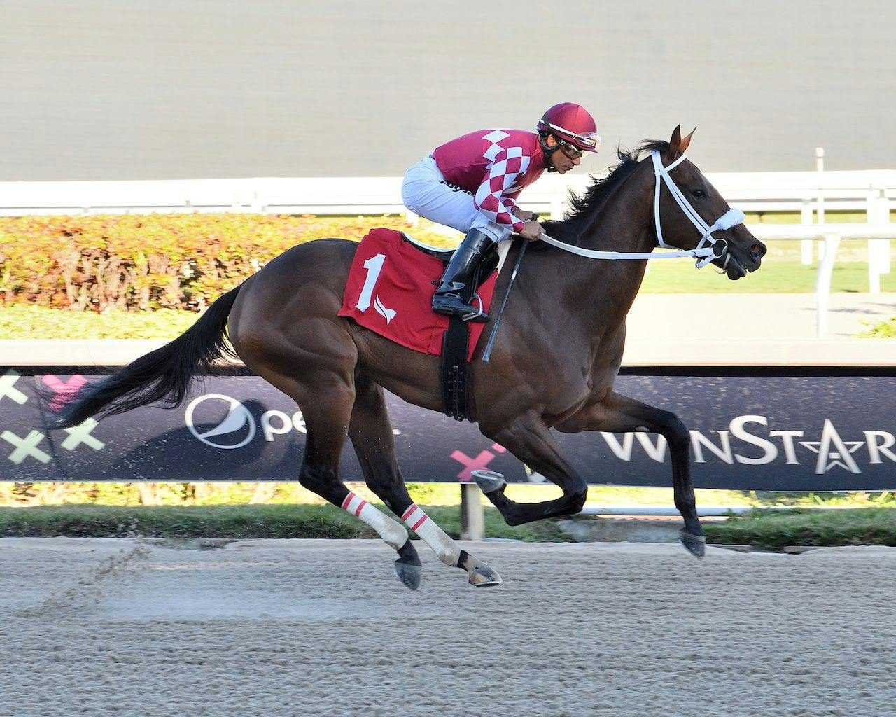 Meet the Contenders: 2024 Lexington Stakes | TwinSpires