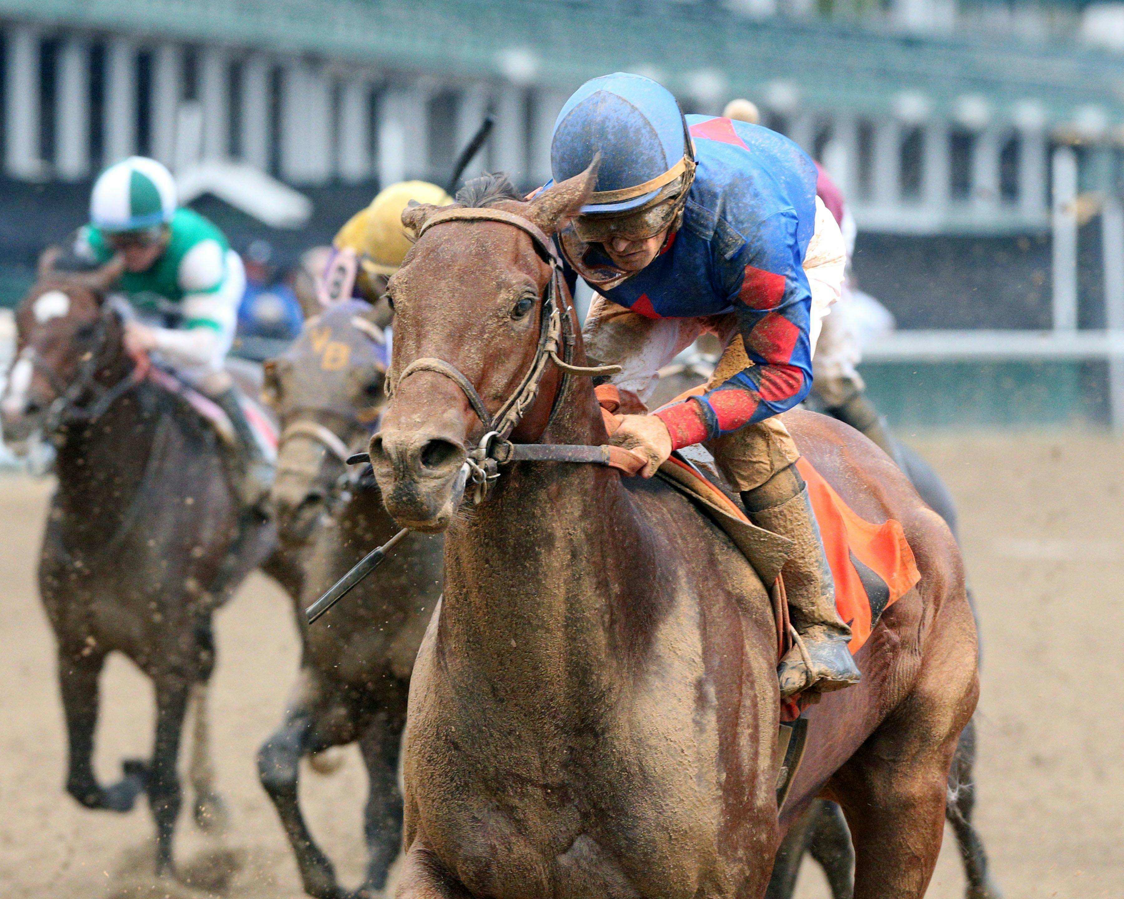 Fair Grounds: Exotics plays for the Tenacious Stakes | TwinSpires