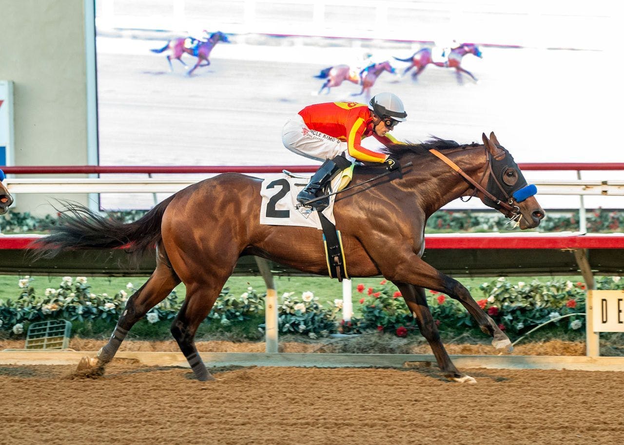 Brisnet Speed ratings can make small fields playable | TwinSpires