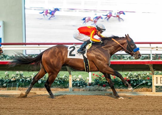 Brisnet Speed ratings can make small fields playable | TwinSpires