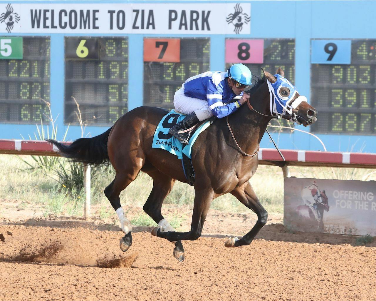 Tuesday’s Best Bets & Quick Picks: Three stakes at Zia Park | TwinSpires
