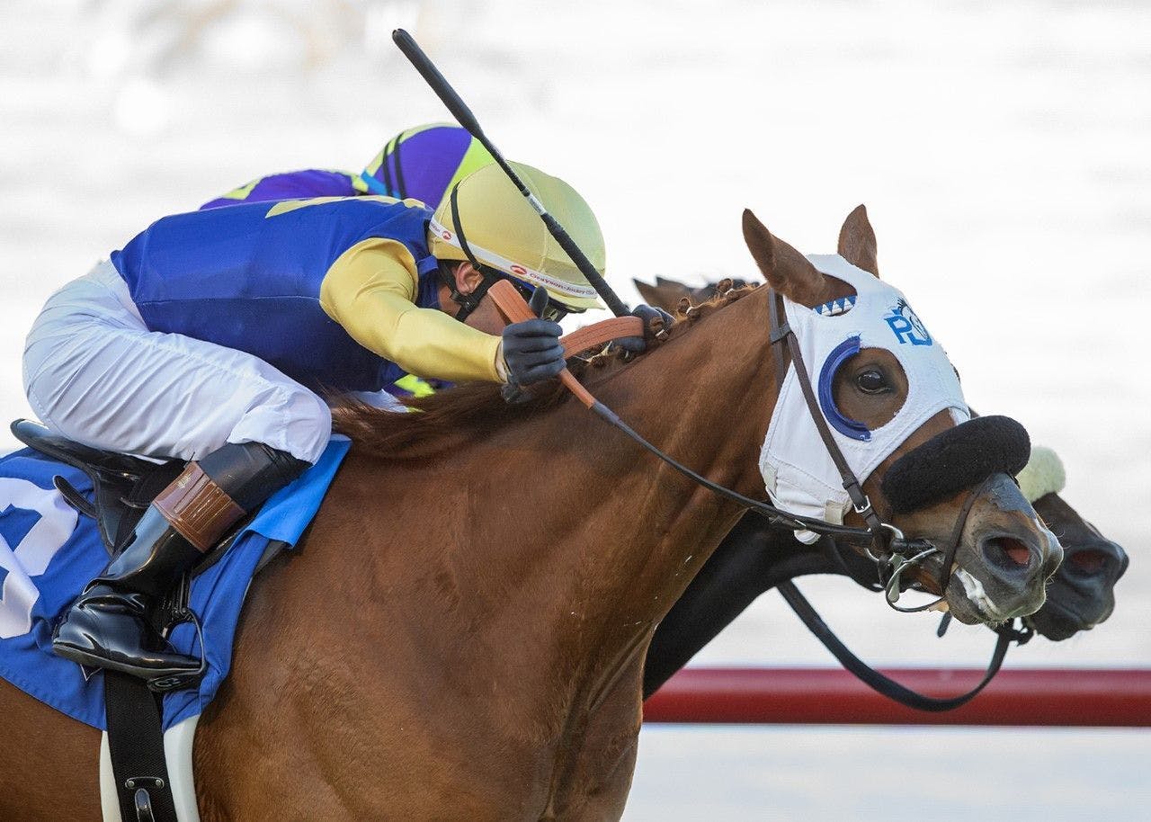 How to bet the 2023 Seabiscuit Handicap | TwinSpires