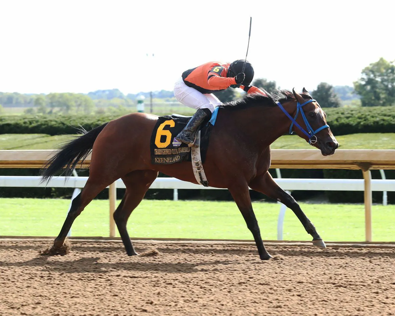 How to bet the 2021 Thoroughbred Club of America Stakes | TwinSpires
