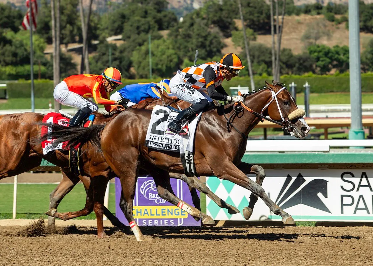 Meet The Contenders 2026 Robert B Lewis Stakes Twinspires