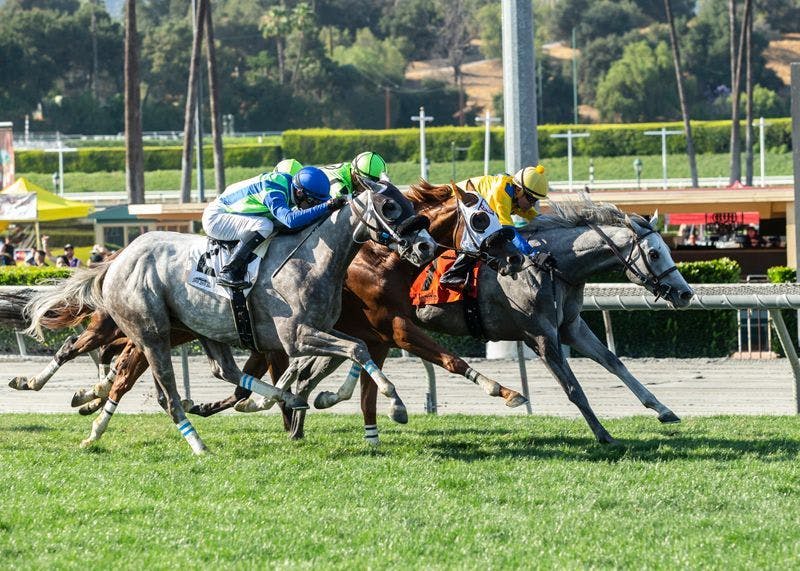 Santa Anita: Rodeo Drive Exotic Wagers | TwinSpires
