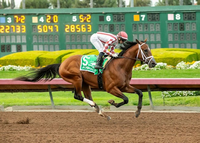 How to calculate fair odds for the 2025 Kentucky Derby | TwinSpires
