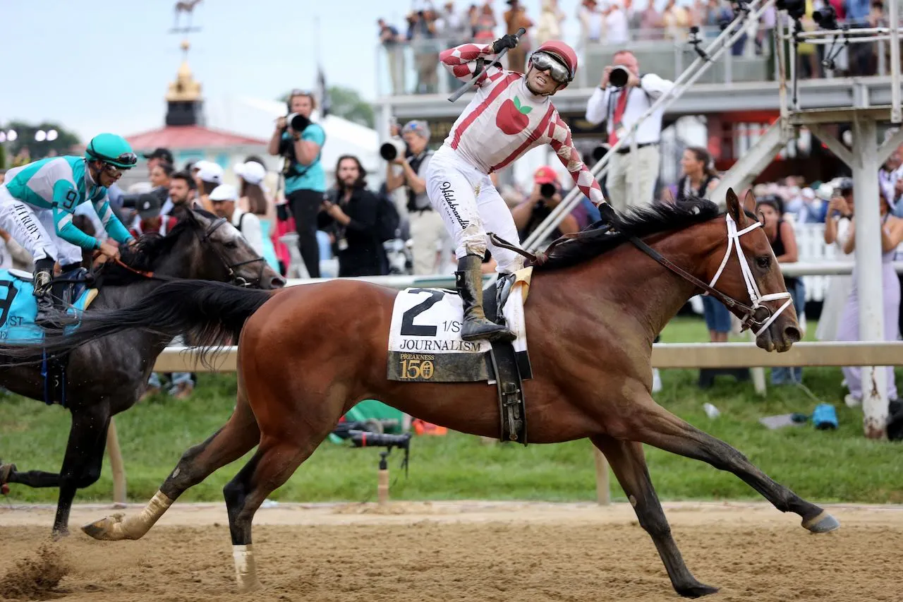 LIVE Preakness odds, picks, best bets, & horse racing news | TwinSpires