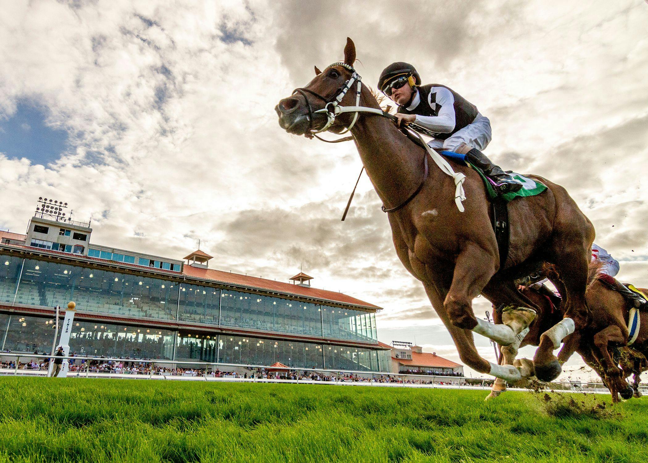 Fair Grounds: 2022 Champions Day Spot Plays | TwinSpires
