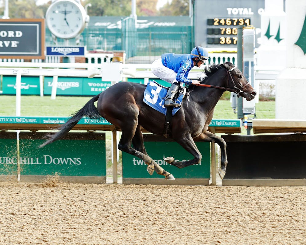 Kentucky Derby Maiden Watch: Knightsbridge catches the eye | TwinSpires