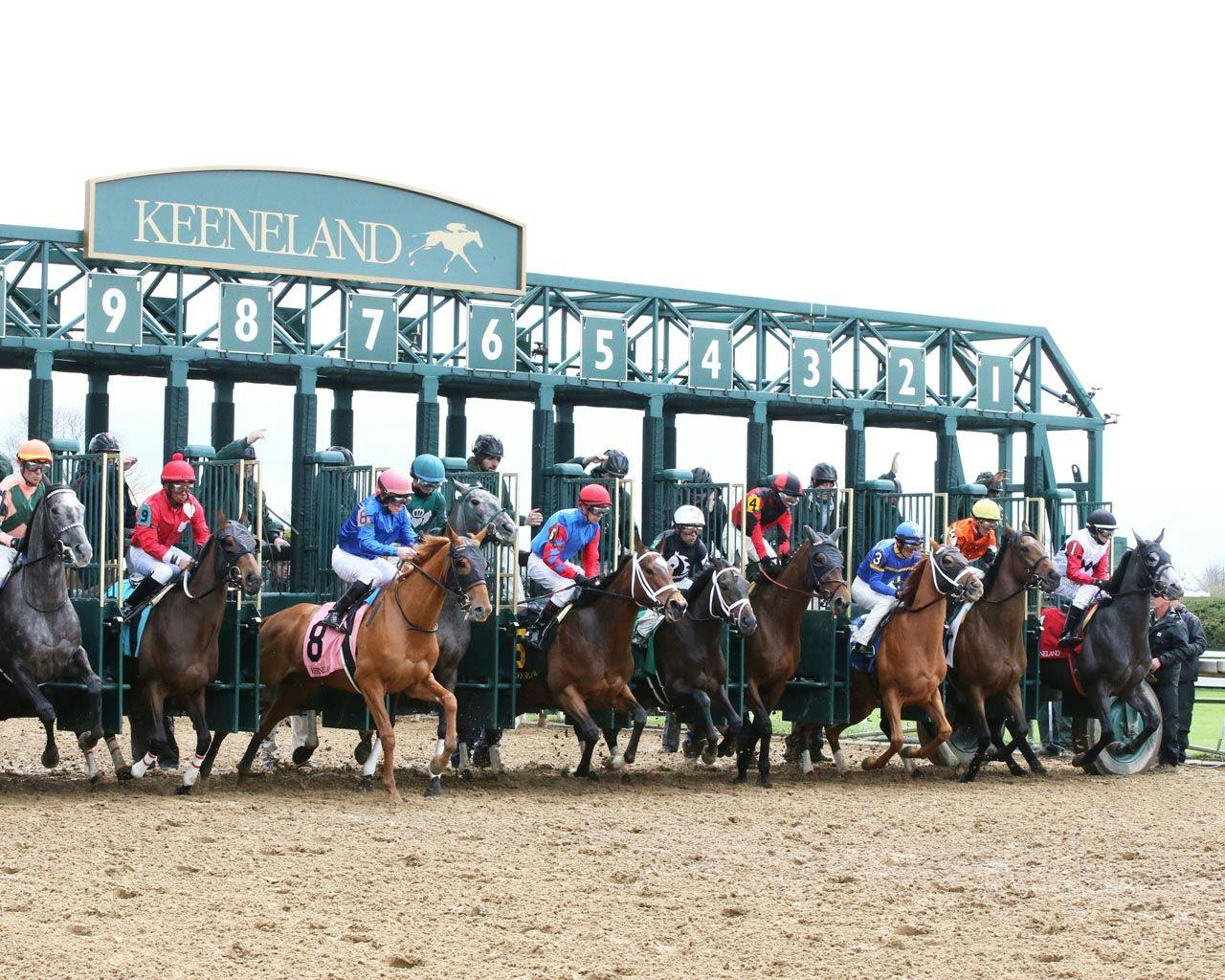 Keeler Johnson's picks and plays of April 7 | TwinSpires