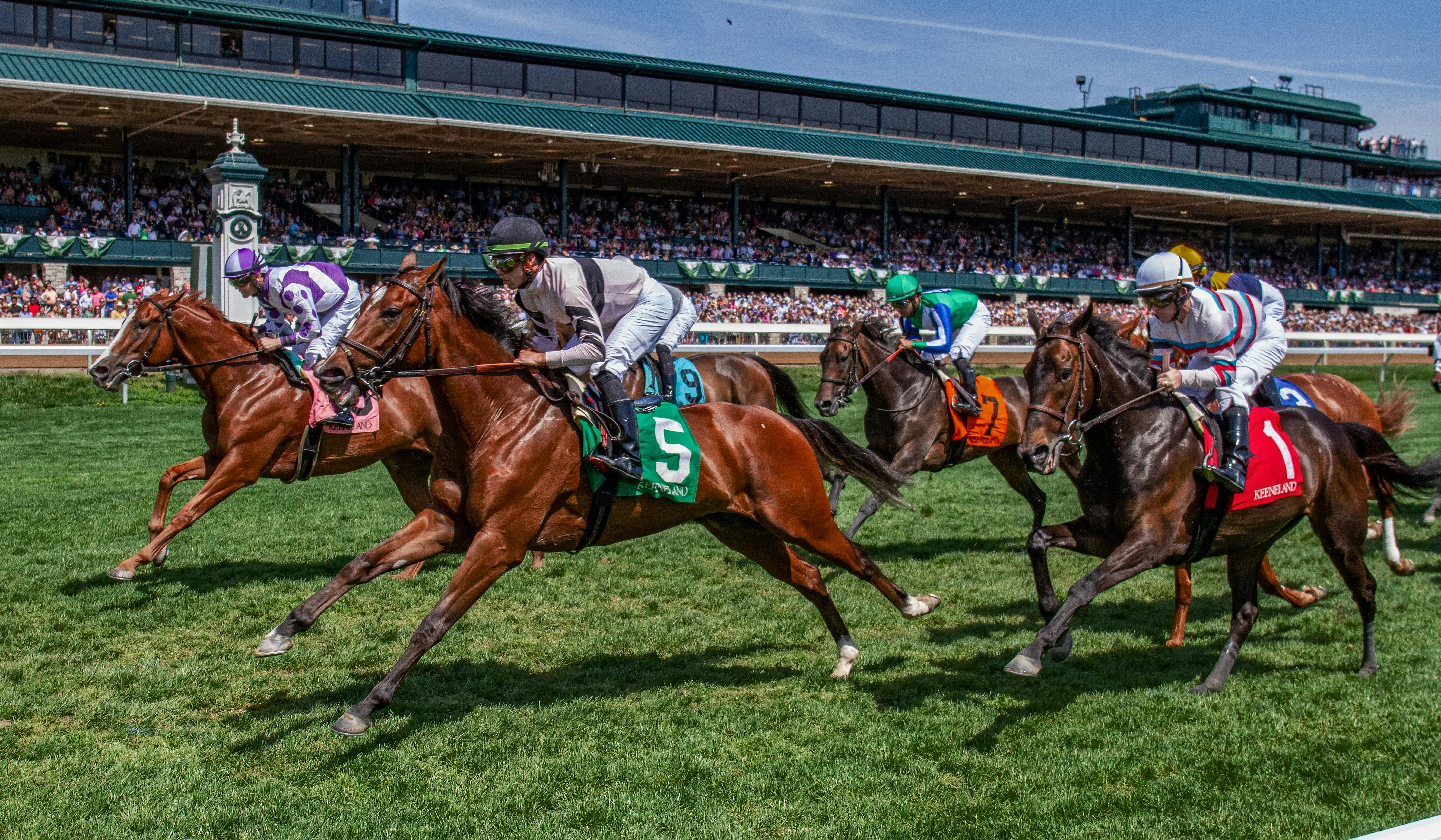 Beginner’s guide: How to read horse racing form lines | TwinSpires