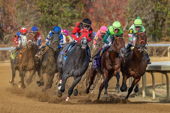 Horse racing speed figures and class ratings explained | TwinSpires