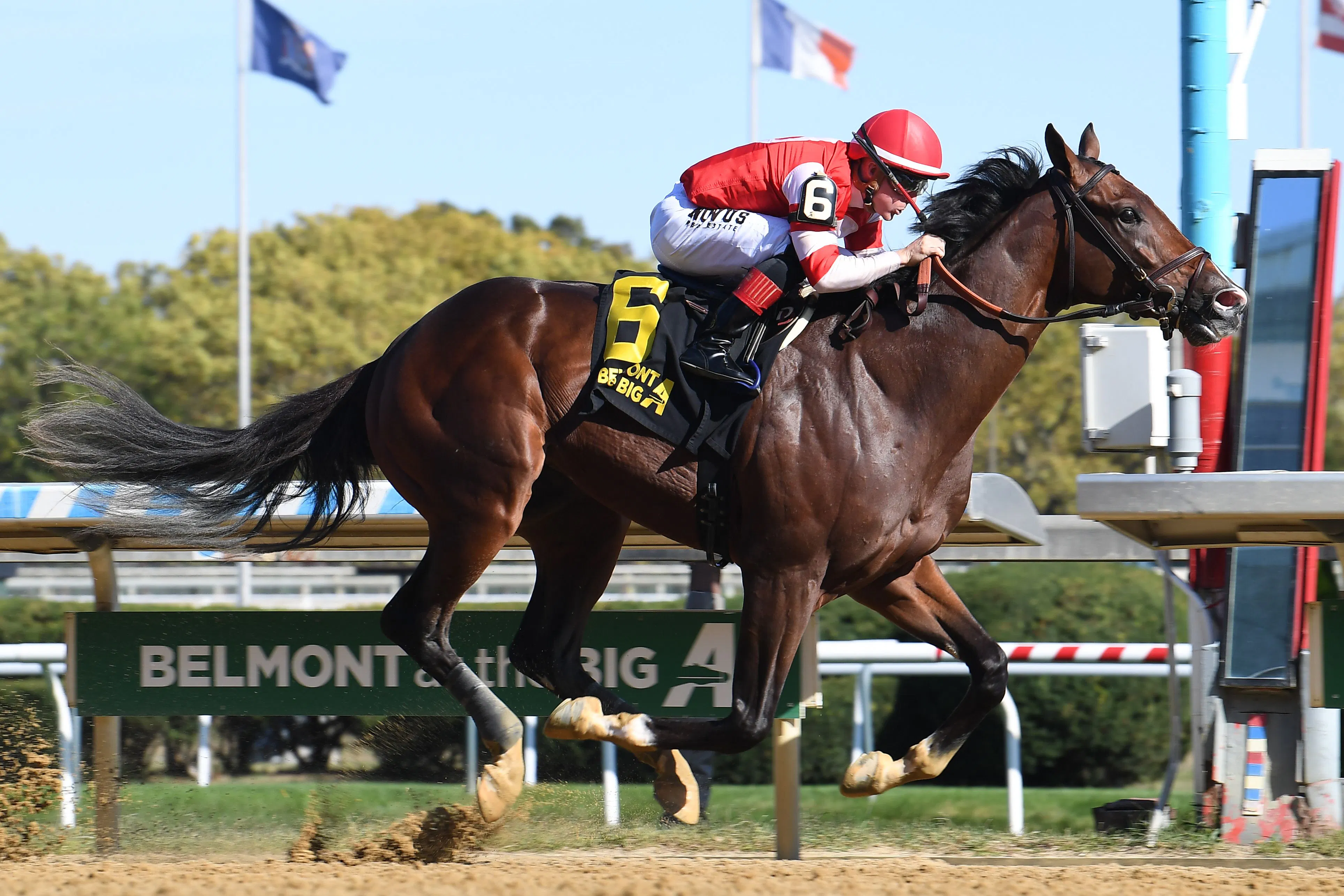 Meet the Contenders: 2024 Remsen Stakes | TwinSpires