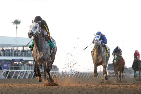 The Smartest Bet in Horse Racing: 4 Strategies for Success | TwinSpires