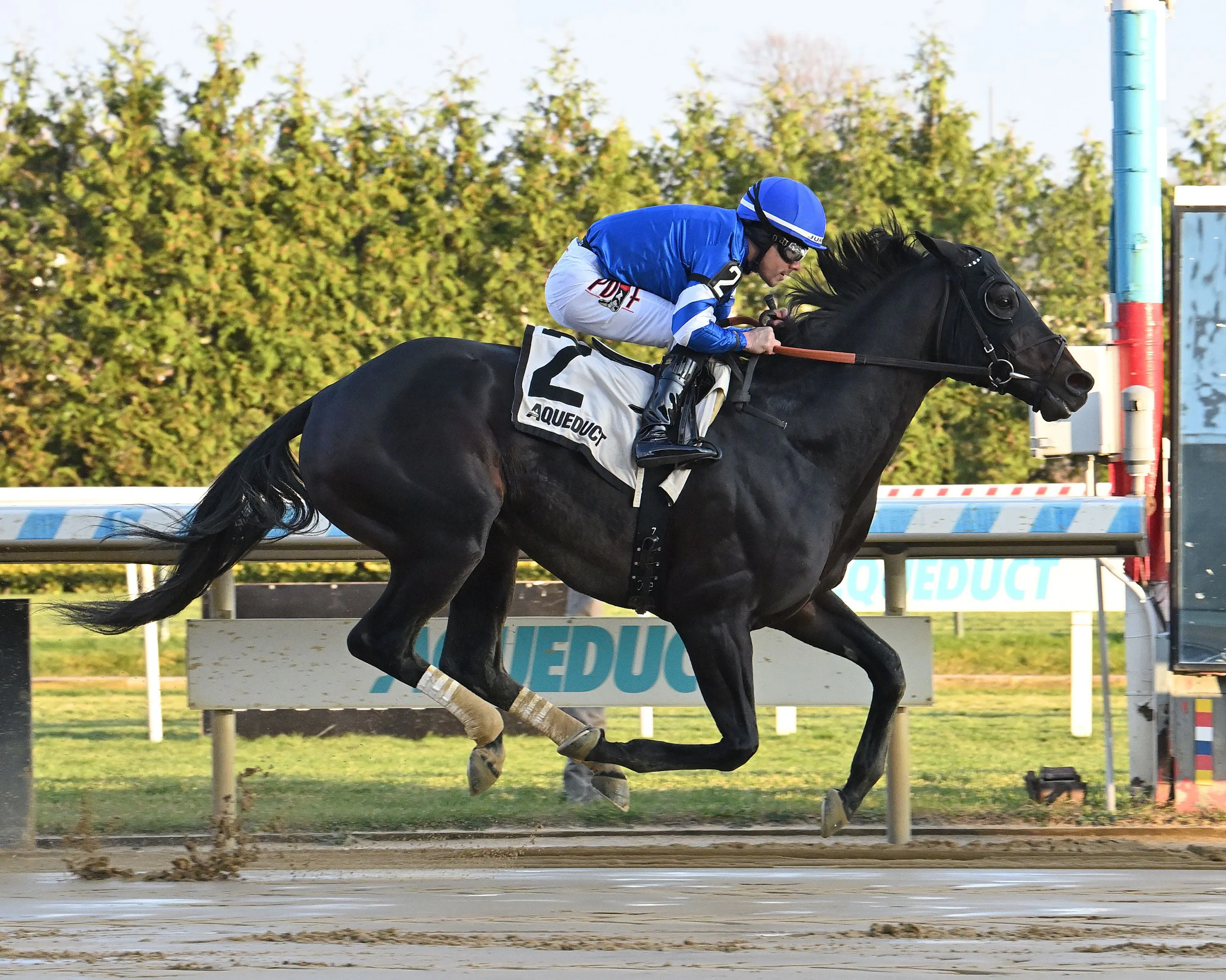 How to bet the 2025 Mr. Prospector Stakes | TwinSpires