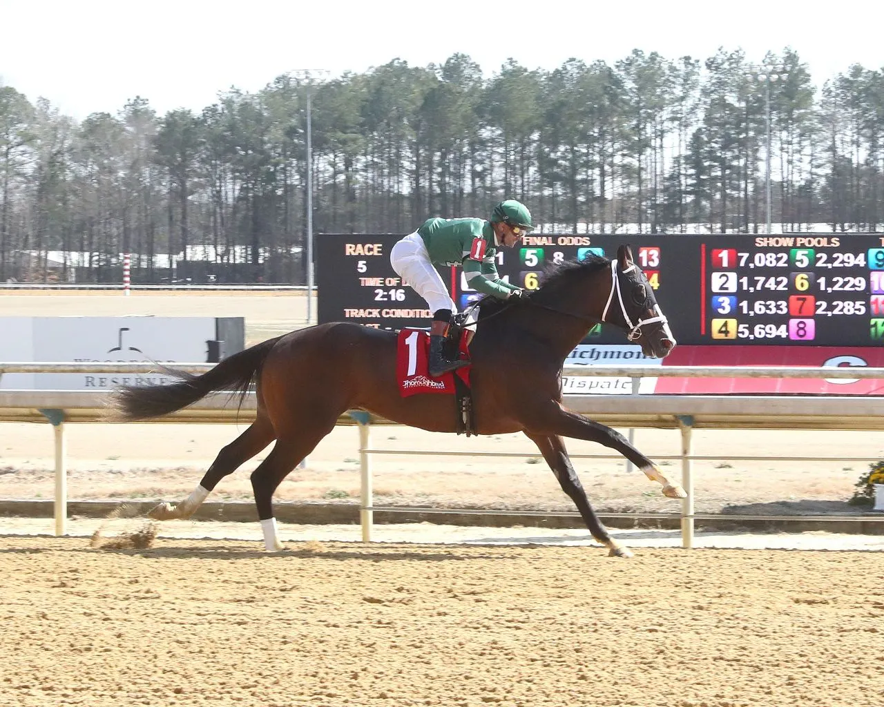 Kentucky Derby Maiden Watch: Cox trainees stun at Colonial | TwinSpires