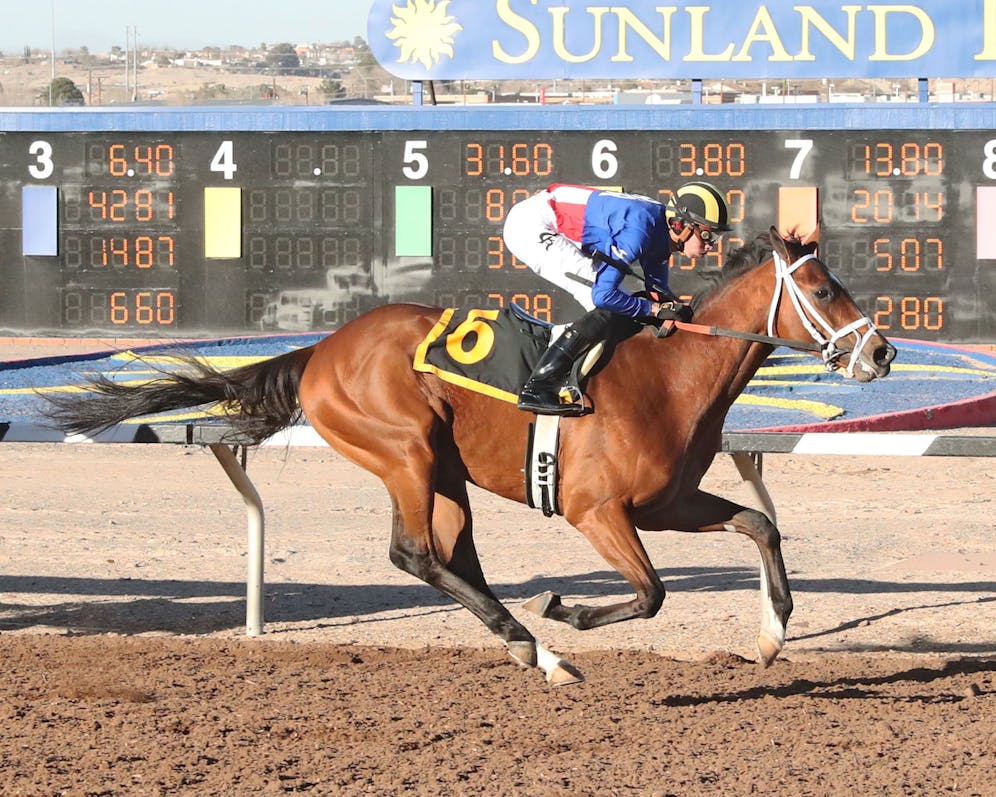 Meet the Contenders: 2024 Sunland Park Derby | TwinSpires