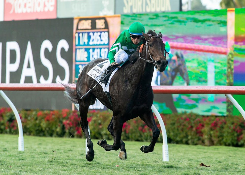 Del Mar Racetrack Picks, Entries, Race Schedule, Best Bets & More ...