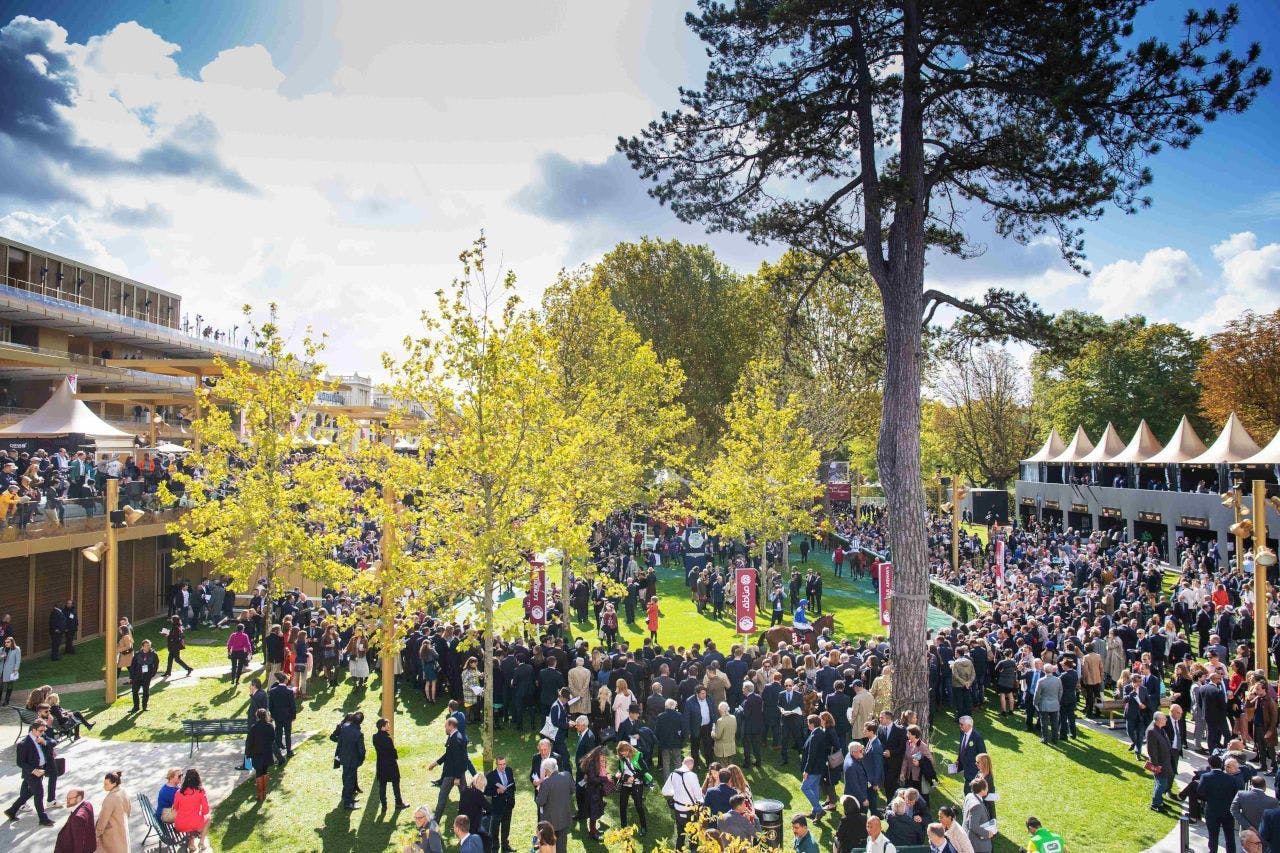 Breeders' Cup Challenge events galore on Arc Day | TwinSpires