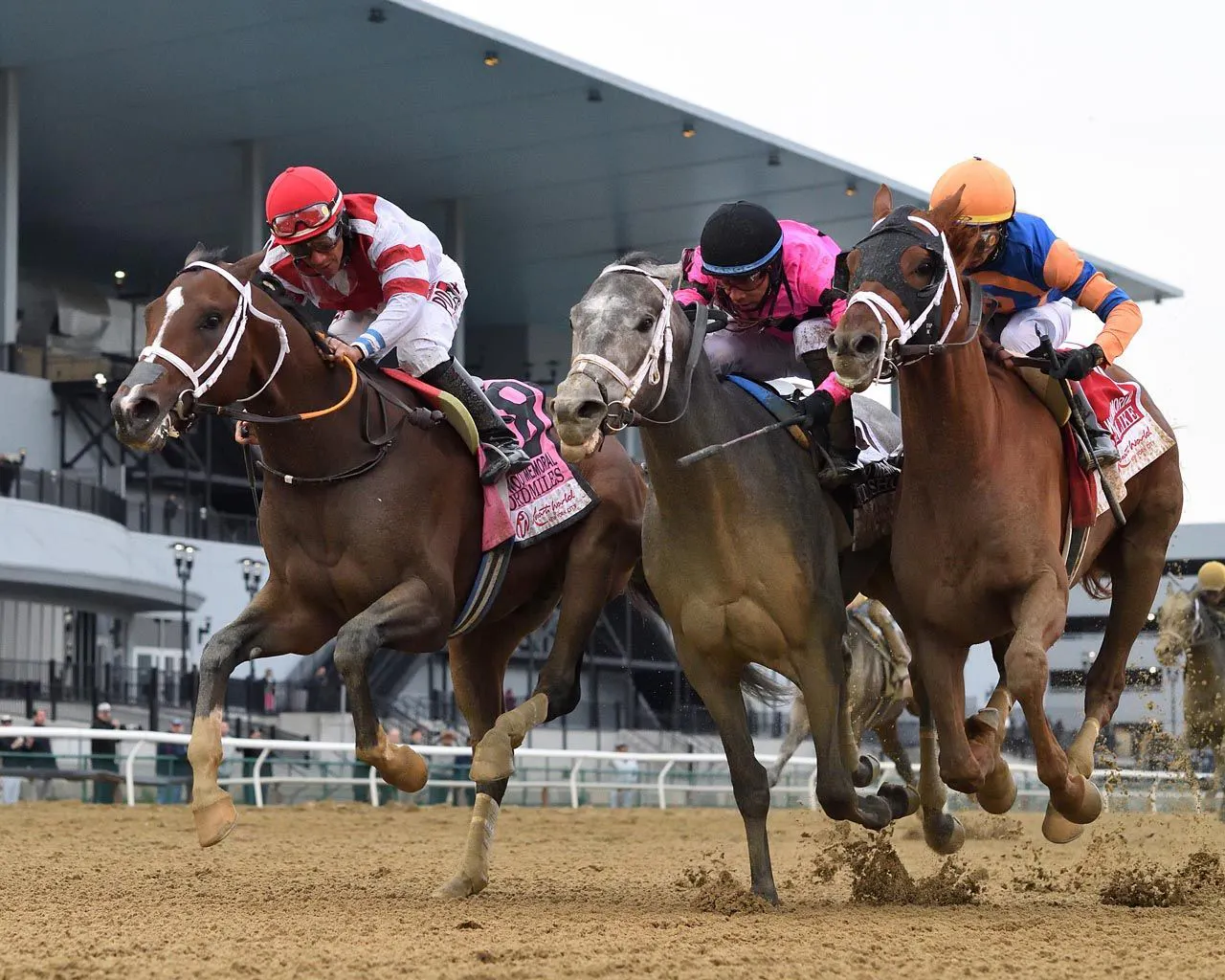 Kentucky Derby pedigree profile: Lord Miles | TwinSpires