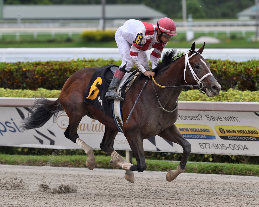 Lord Miles – Kentucky Derby Context | TwinSpires