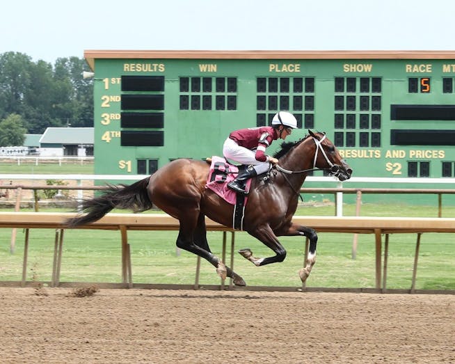 Meet the Contenders: 2024 Gun Runner Stakes | TwinSpires