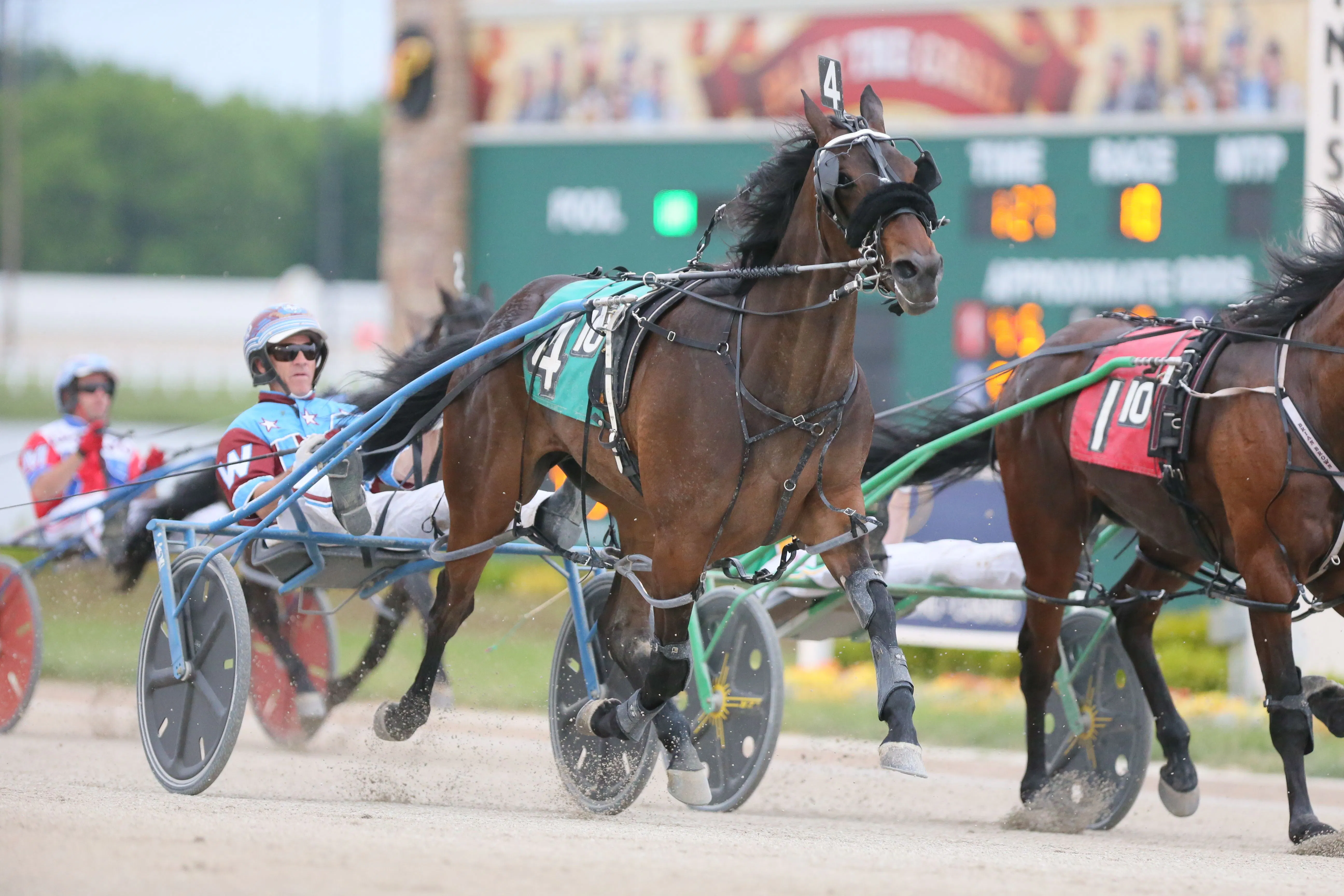 The Potomac Pace at Rosecroft: Harness racing value picks | TwinSpires