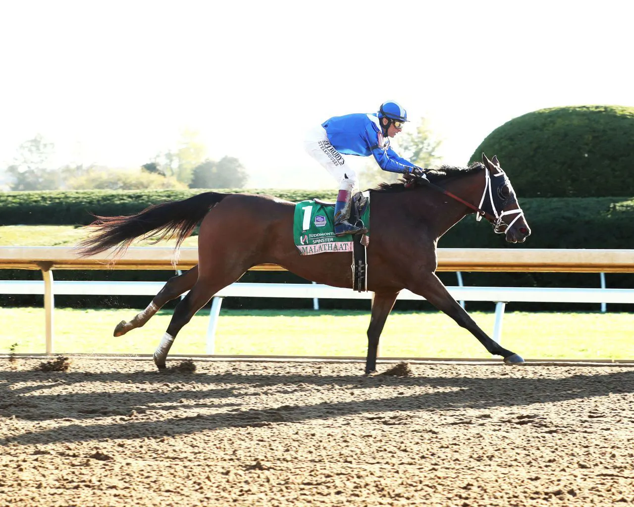 Catching My Eye: three things to take away from the 2022 Bre | TwinSpires