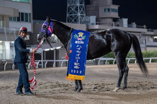 Santa Anita Derby International Scouting Report: Mandarin He | TwinSpires