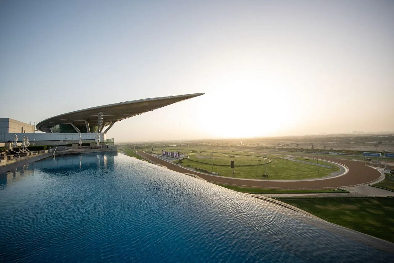 Dubai & South Africa: Real World set to star at Meydan Jan. | TwinSpires