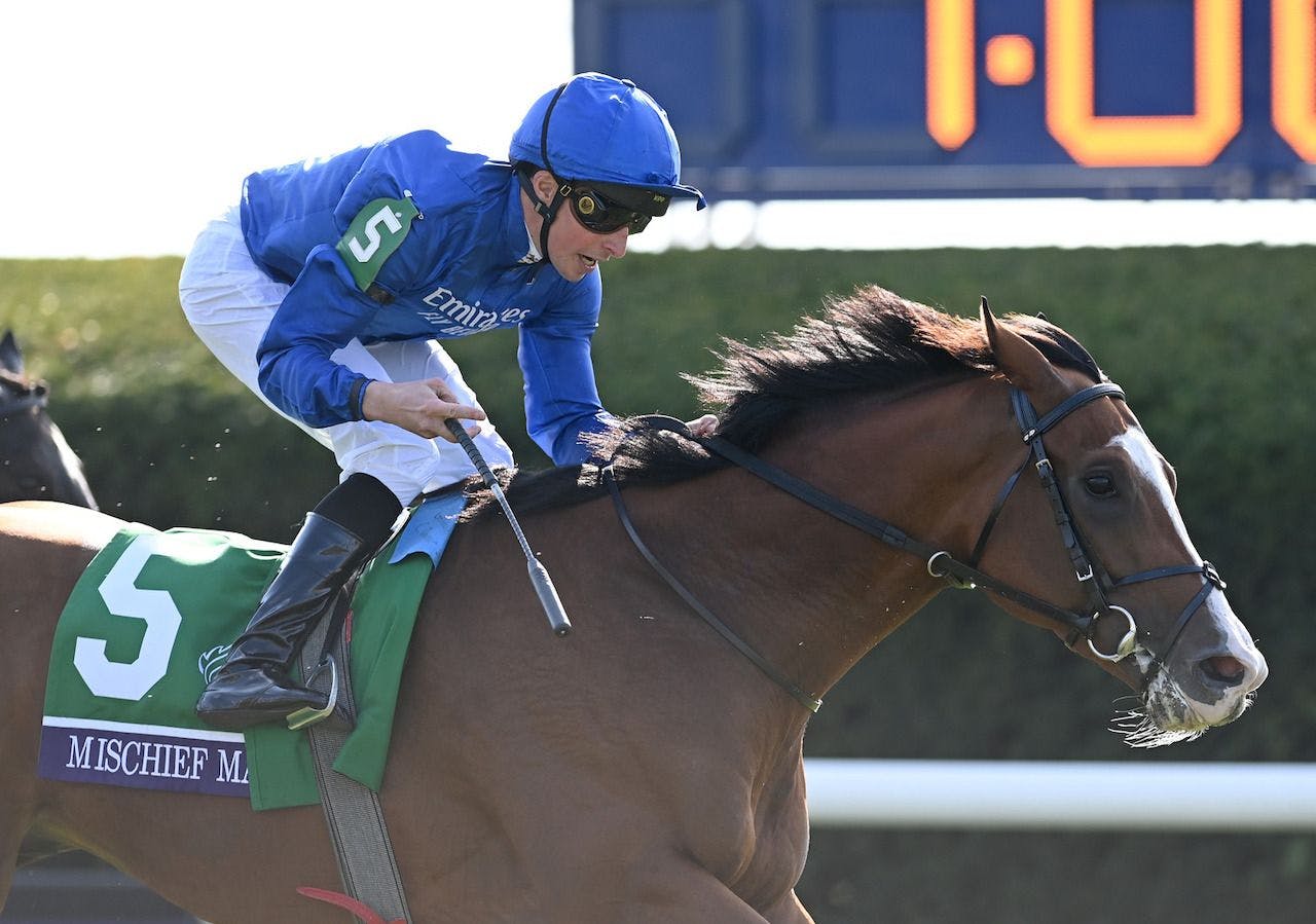 Exotics Plays for the Van Clief Stakes | TwinSpires