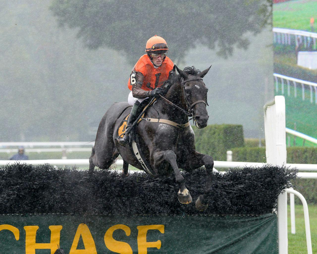 Derby Remix: Mr. Hot Shot | TwinSpires