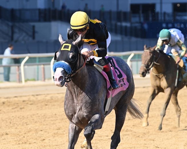 Tipsheet: 2026 Fountain of Youth Stakes | TwinSpires