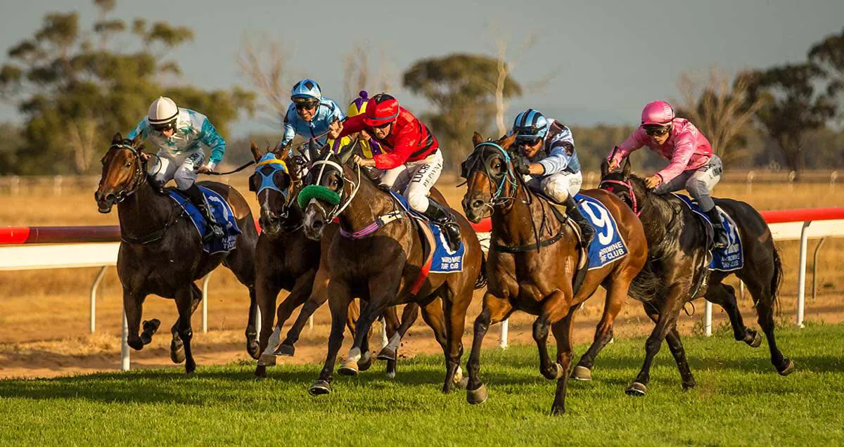Australia Preview: McDonald poised for Magic Millions day | TwinSpires