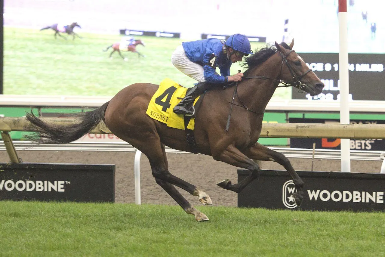 When chalky outcomes appears likely, consider the superfecta | TwinSpires