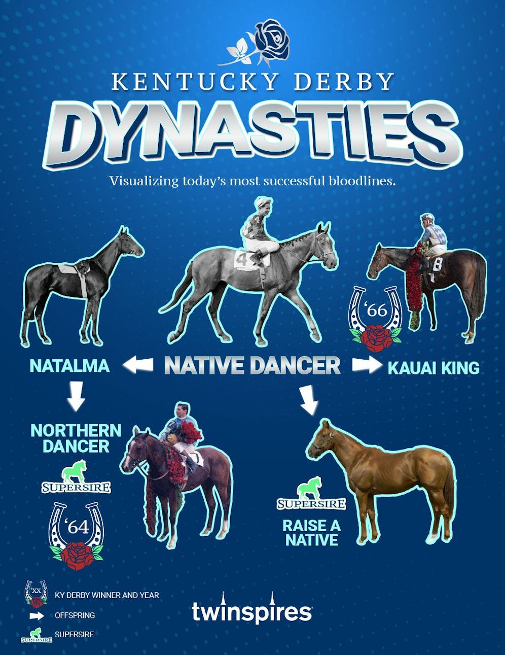 Kentucky Derby dynasties: Visualizing successful bloodlines | TwinSpires