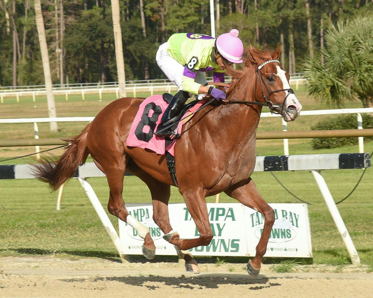 How to bet the 2021 Iowa Derby and Oaks | TwinSpires