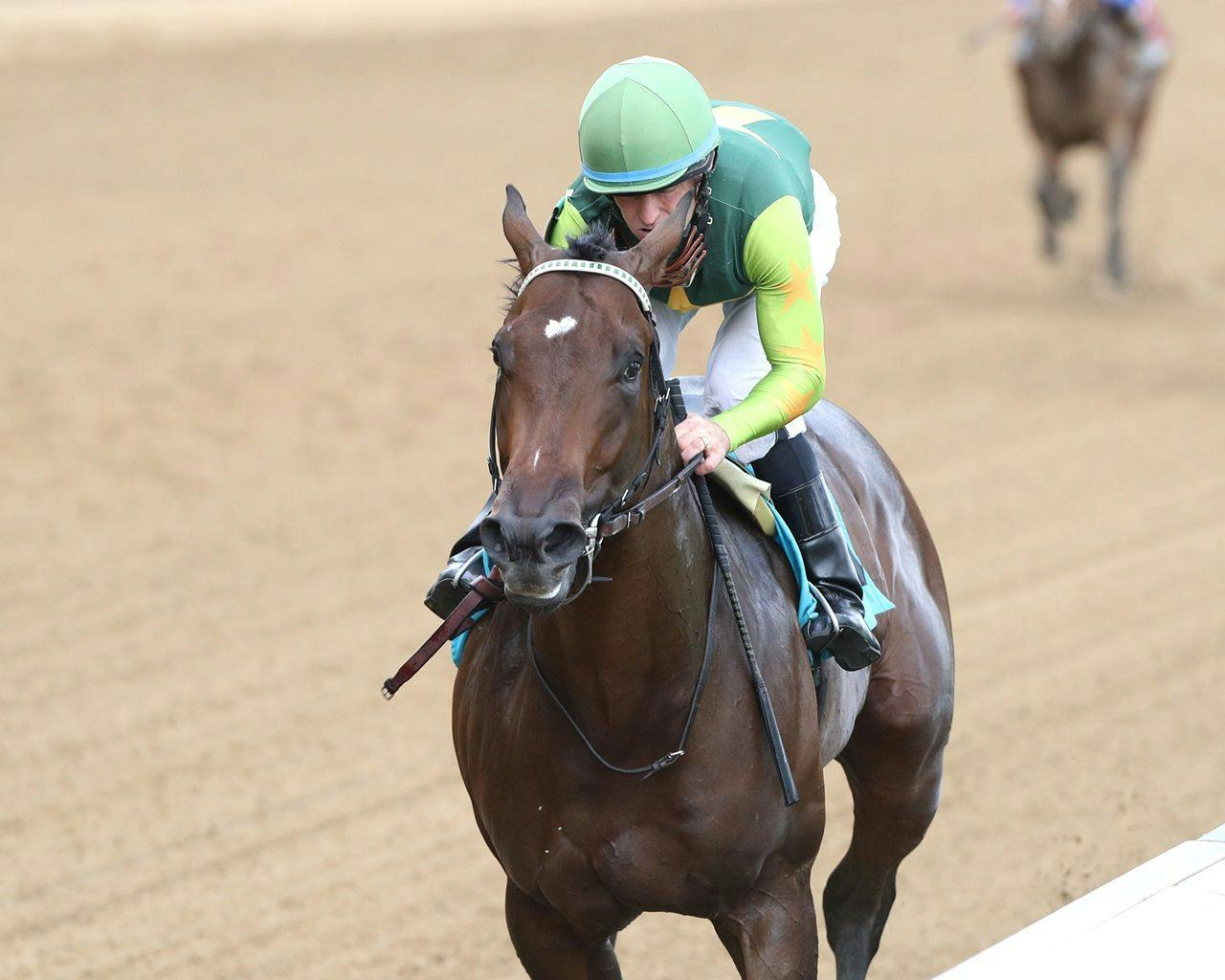 Kentucky Derby Maiden Watch: Optical stuns by 14 lengths | TwinSpires