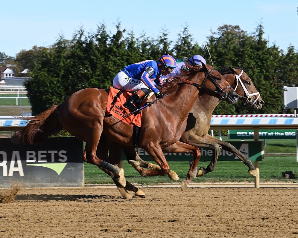 Kentucky Derby Maiden Watch: Paladin wins via DQ | TwinSpires
