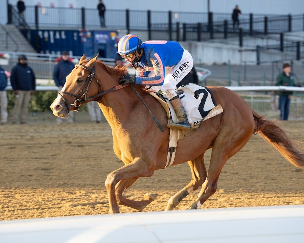 Kentucky Derby pedigree profile: Paladin | TwinSpires
