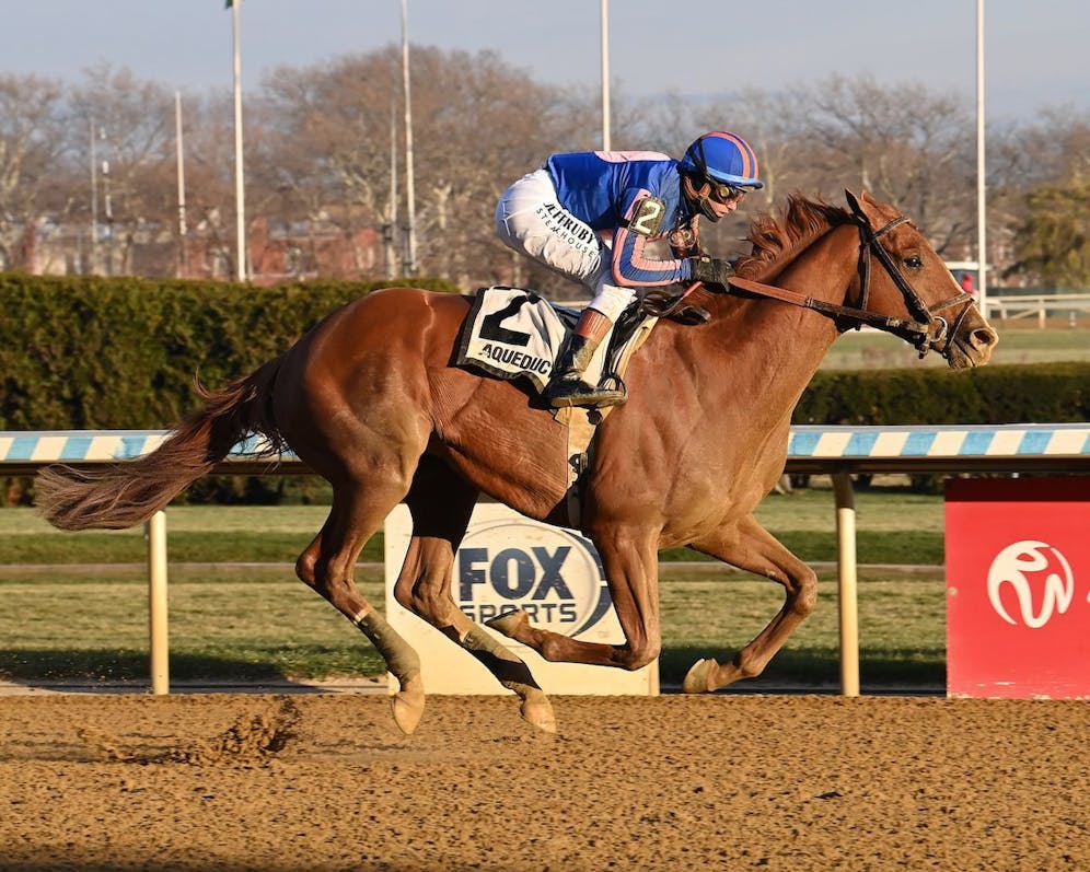 Kentucky Derby Roundup: Paladin, Renegade run 1-2 in Remsen | TwinSpires