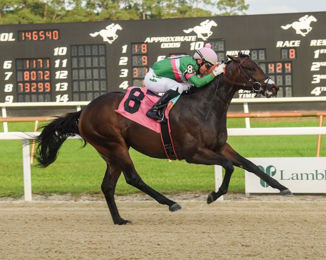 Exotics Plays for the Reigh Count Stakes at Colonial | TwinSpires