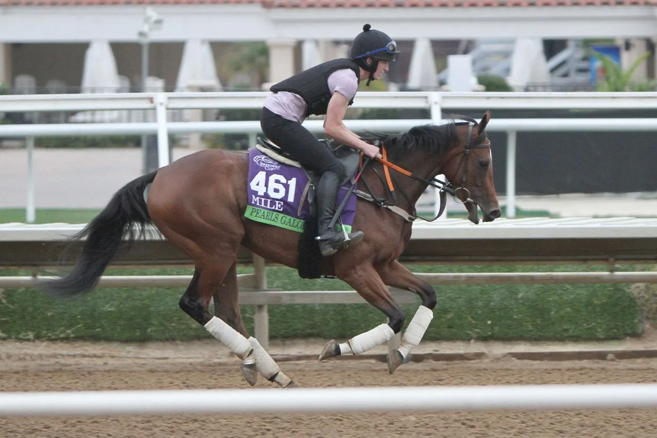 Great Britain & Ireland Preview: Irish Guineas weekend | TwinSpires