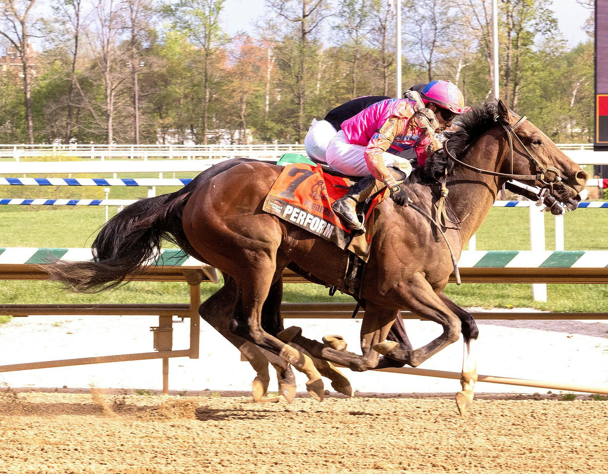 Preakness: The best longshot to bet is Perform | TwinSpires